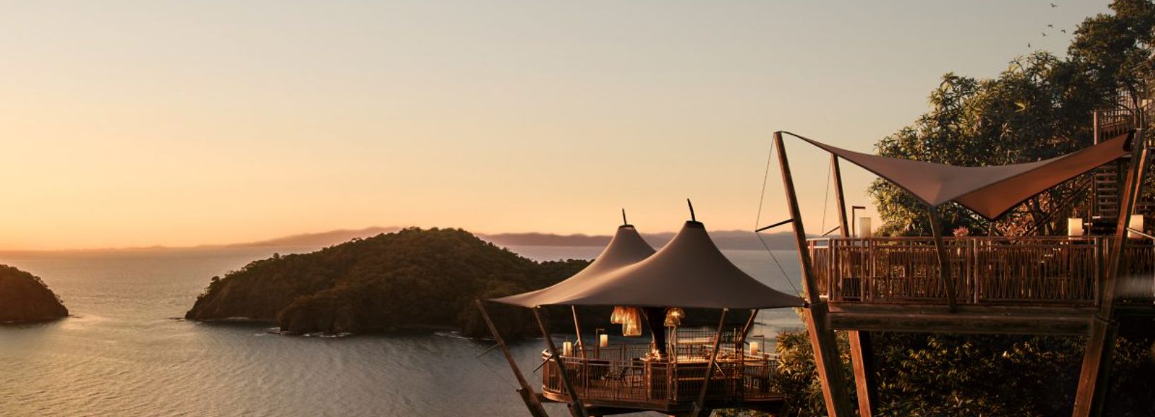 Secrets To Hotel Loyalty Programs: Points, Perks And Free Nights | TripPlus